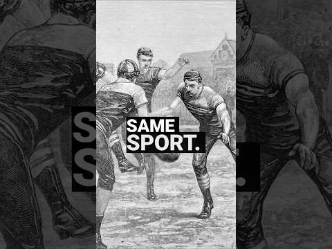 Mind Blowing Origins of Everyday Words #shorts #shortsvideo #facts #history #trivia #interesting