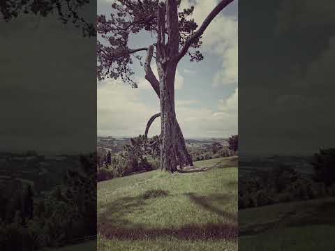 Point View Reserve at East Tāmaki Heights, Auckland#auckland #viewpoint #Newzealand #vlog