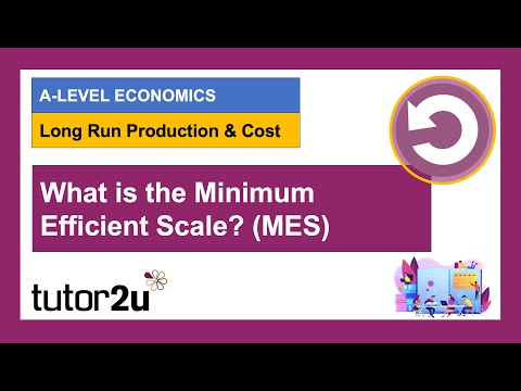 Explaining the Minimum Efficient Scale