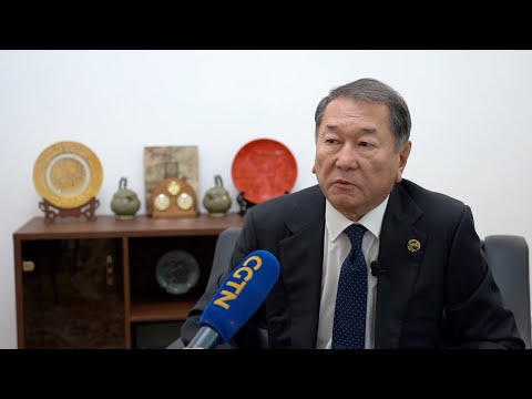 Iran's accession is vital, says former secretary-general of SCO