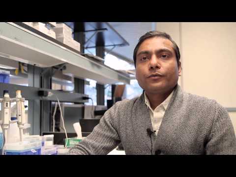 Are You Into Science? Watch Vishal