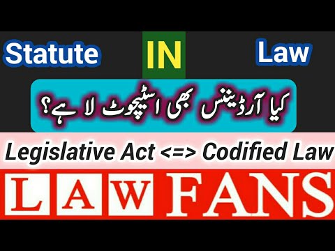 What is Statute in Law || Legal English || In Hindi/Urdu || Law Fans ||