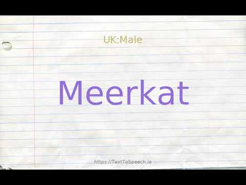 How to pronounce meerkat