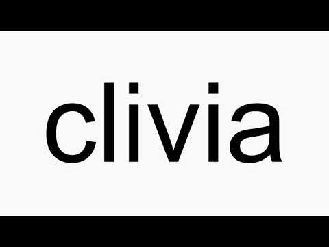 How to pronounce clivia