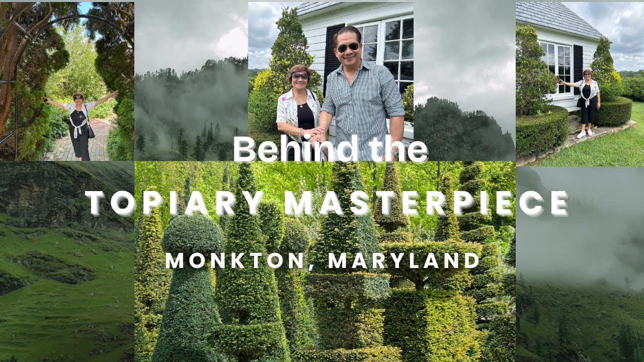 Living Sculptures & Topiary Art | Inside Stunning Transformations