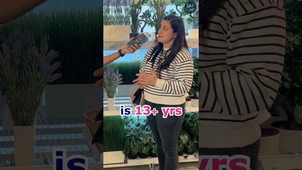 What does an IT Auditor actually do? || SAPTHINGS || #jobskills  #itcareers #techjobs