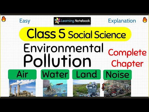 Environmental Pollution (Complete Chapter)
