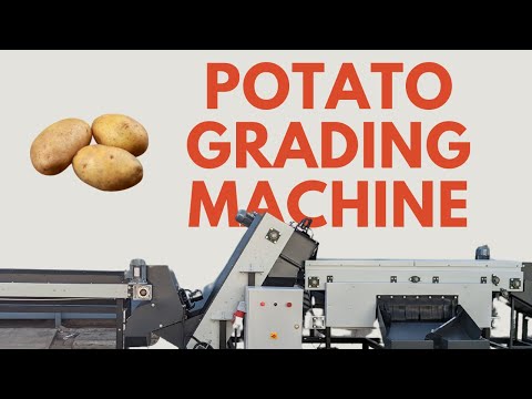 Mini Potato & Onion Grading Line - Agrograde Grade Mini Potato Grading ...