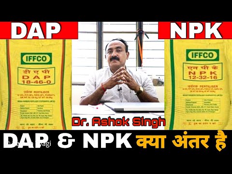 NPK Fertilizer - NPK Latest Price, Manufacturers & Suppliers