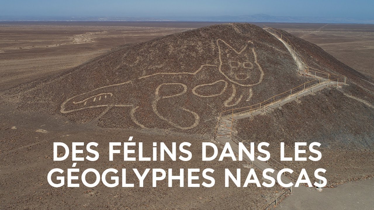 Conférence | Les félins chez les Nascas – Histoire des félins dans la ...