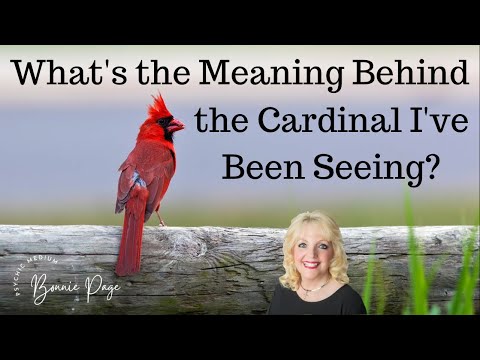 What's the Meaning Behind the Cardinals I am Seeing? with #mediumbonniepage