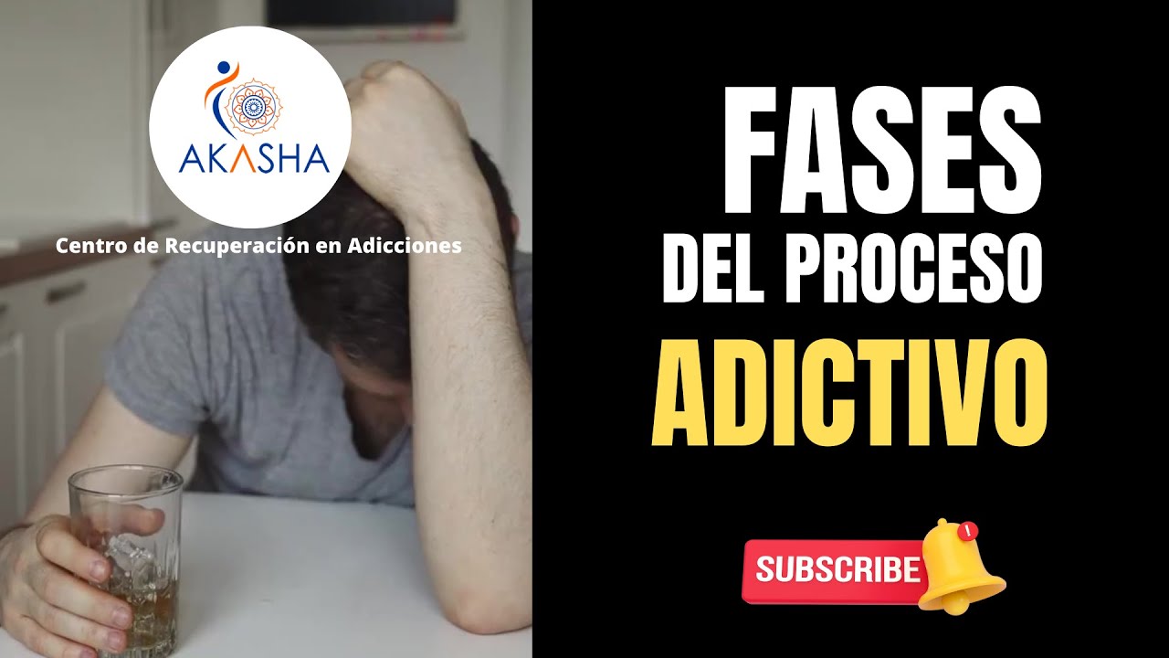 6 FASES DEL PROCESO ADICTIVO