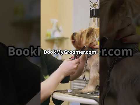 ๐ถ UK dog owners โ looking for mobile groomers?๐ฒ Weโre building BookMyGroomer.com โ