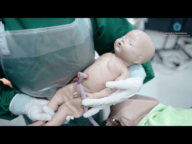 Panduan Lengkap Asuhan Persalinan Normal di Fakultas Kedokteran UNIMUS ...