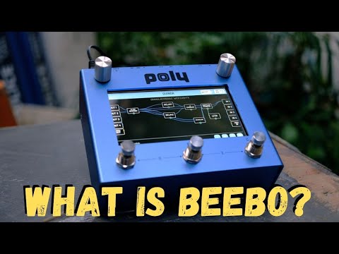 Poly Beebo 2020 | Reverb