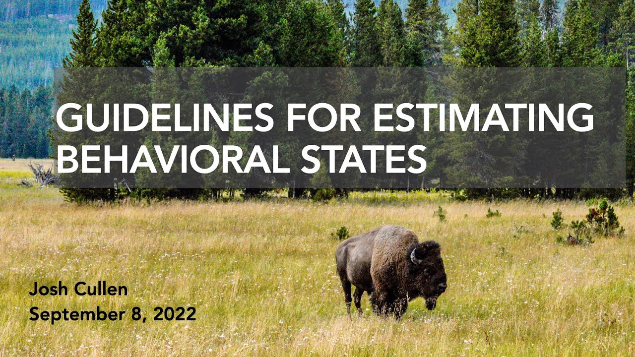 Guidelines for Behavioral State Estimation