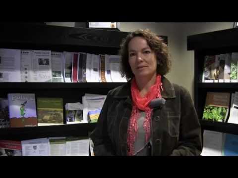 Pulse School: Understanding and Maintaining Grade Quality