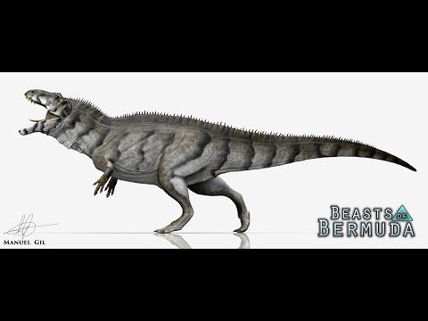 Steam Community :: Video :: Акро, охота на Апату {Beasts of Bermuda ...