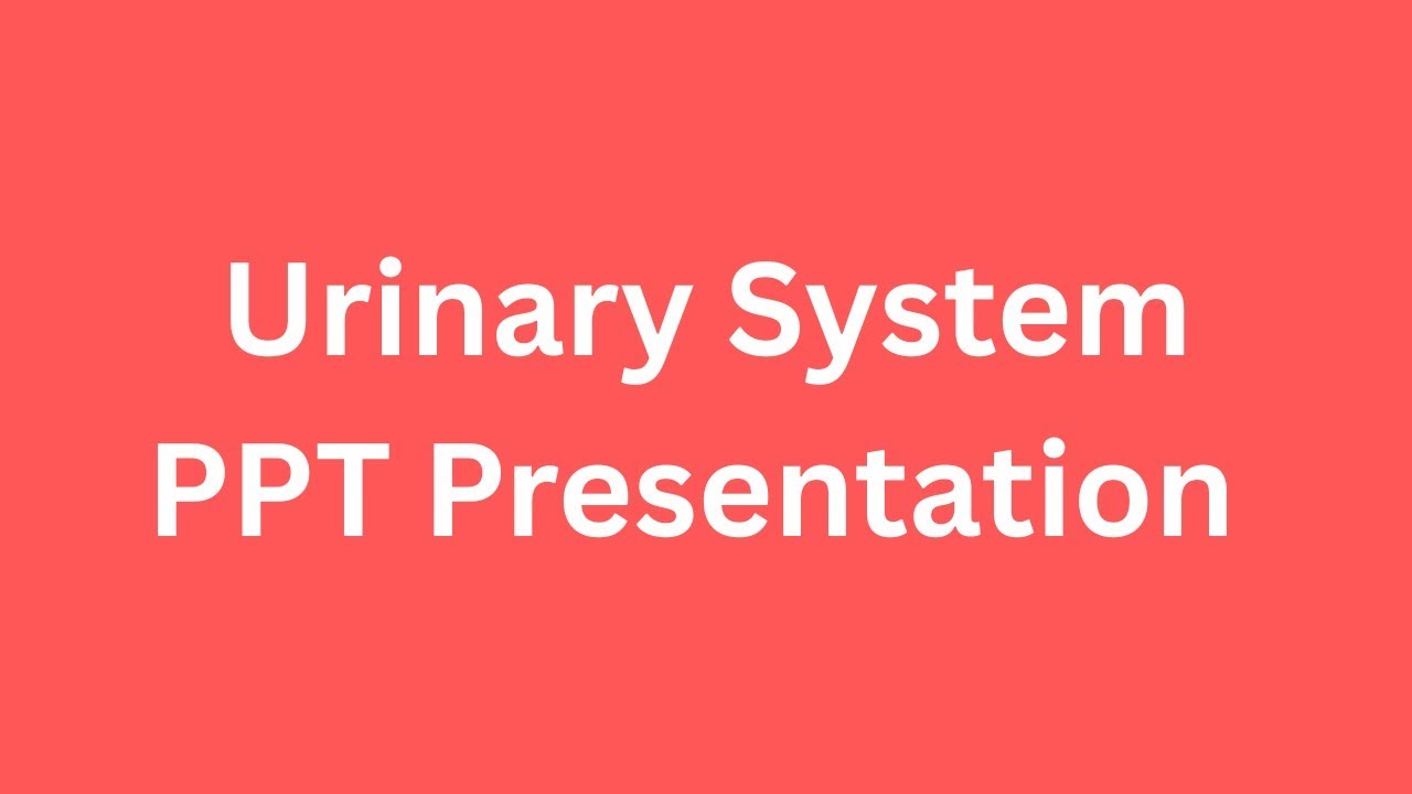 Urinary System PPT Presentation Seminar Free Download