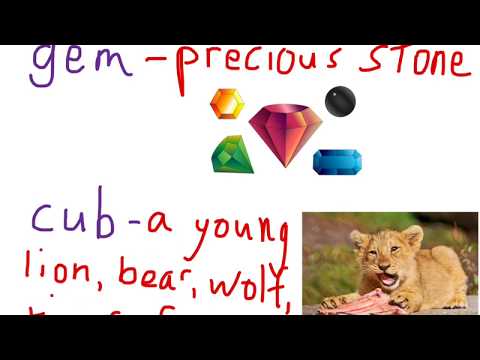 Sort 39 - Soft and Hard c and g * Words Their Way (within word patterns)