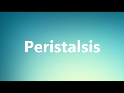Peristalsis - Medical Meaning and Pronunciation