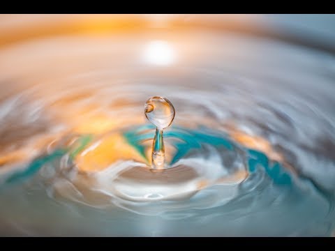 XRP - mounting evidence to the contrarian