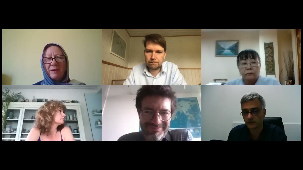 Working group for more balanced geographical representation of NGOs – online meeting 18th June 2021