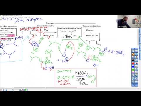 c241w23 L15 Act 3 Hydroboration Oxidation of Alkynes Mechanism
