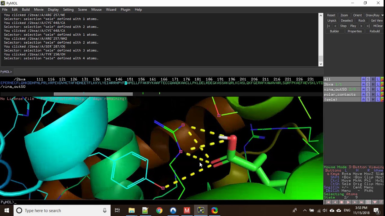 Autodock Vina Result Analysis with PyMol