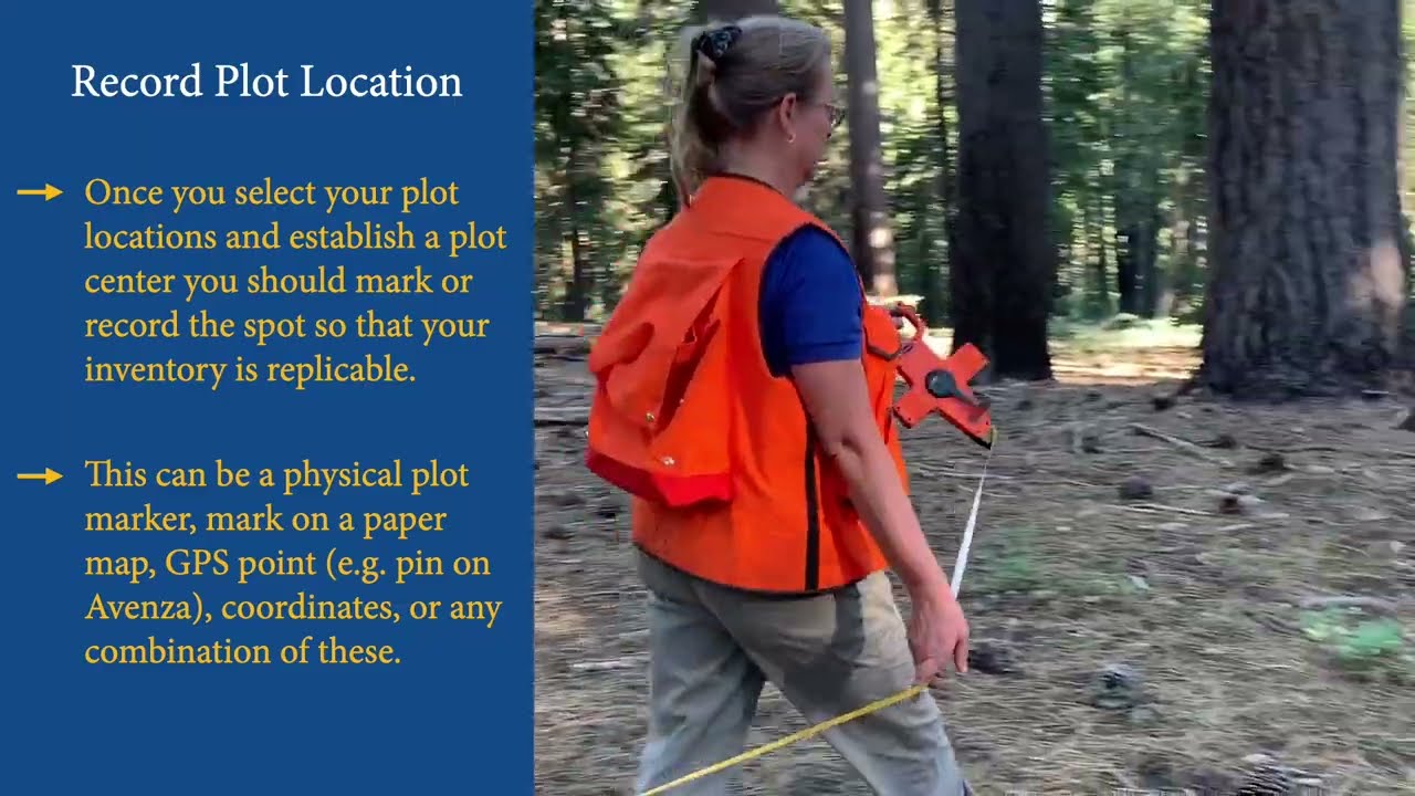 Forest Inventory Part 4: Plot Layout & Inventory System