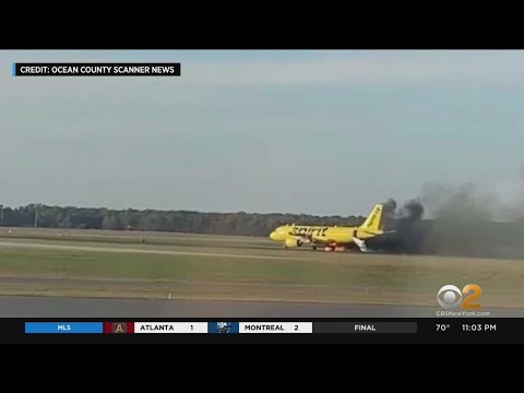 Plane Taking Off From Atlantic City Airport Hits Bird