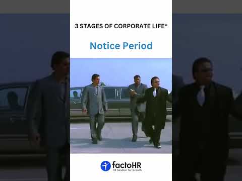 3 Stages of Employee Job