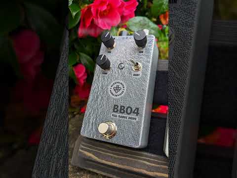 Buzzing Bugs Audio Devices BB04 Full Range Drive 2024 - Grey | Reverb