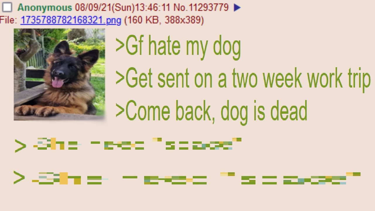 Anon GF hates his dog | 4chan greentext story