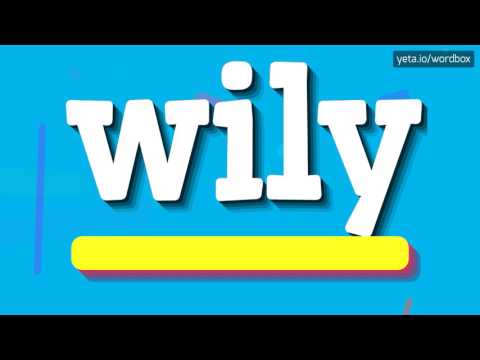 WILY - HOW TO PRONOUNCE IT!?