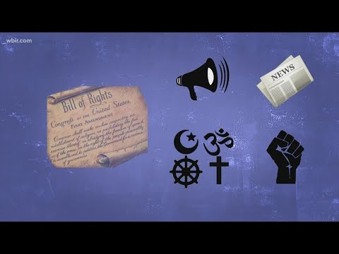 What are your rights as a protestor?