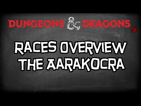 Dungeons & Dragons 5e Races Tutorial "The Aarakocra"