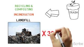 Environmental Engineer Overview | What is an environmental engineer ...