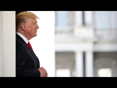 What is Trump's TV news regimen?