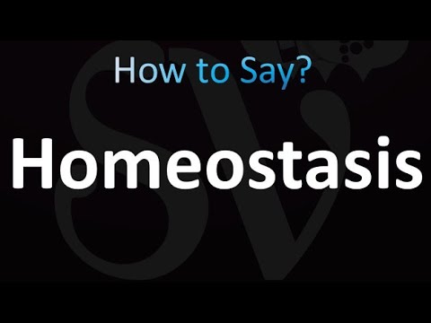 How to Pronounce Homeostasis (Correctly!)