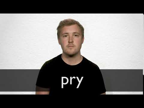 How to pronounce PRY in British English