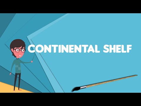 What is Continental shelf?, Explain Continental shelf, Define Continental shelf