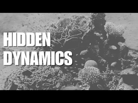 How to See the Hidden Dynamics Shaping Everything