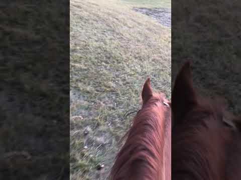 Itty bitty trail ride