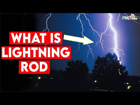 What is Lightning Rod || How do Migratory Birds Find their Way?