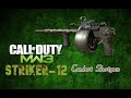 Steam Workshop::[MW3] Striker-12 Red Dot Sight replace Spas-12 (MW2 Anims)