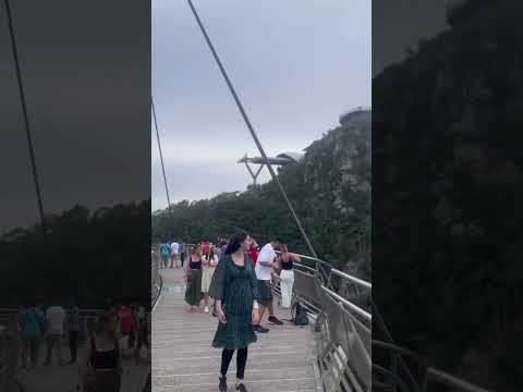 Sky bridge & recently opened Eagle Skywalk -must visit via the Cable Car #skybridge #skywalk #shorts