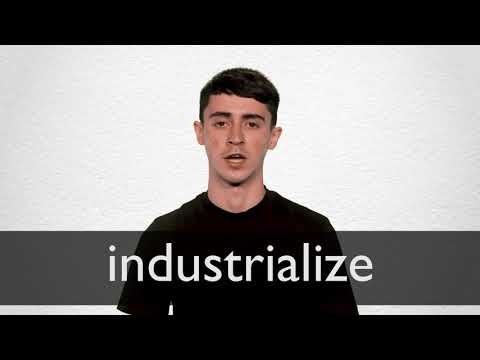 INDUSTRIALIZE - Aprende el significado, sinónimos y traducciones ...