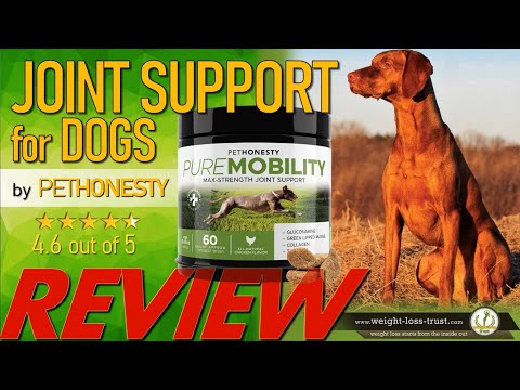 PureMobility Dog's Hip and Joint Support by PetHonesty REVIEW