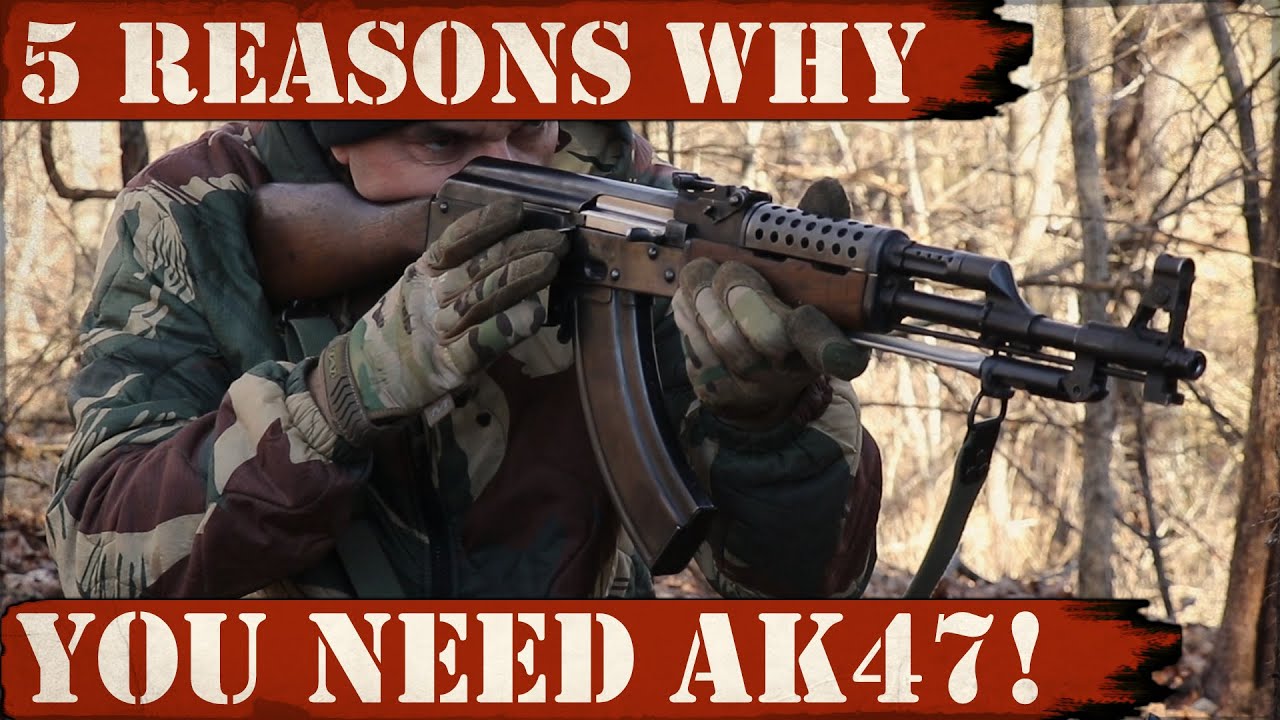 5 Reasons Why You Need 